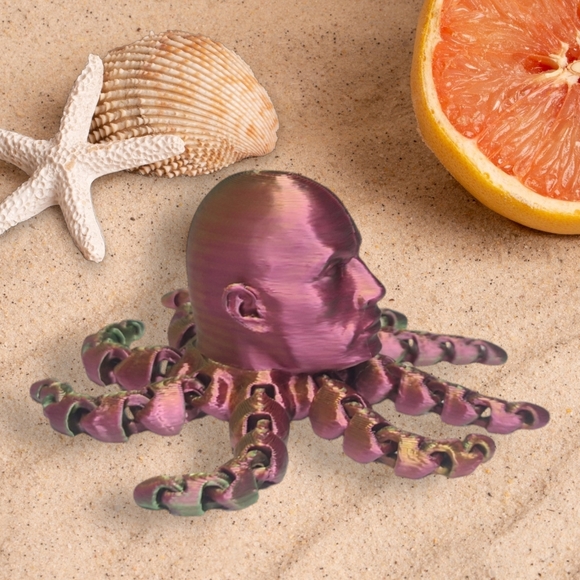 3dkprintz | Toys | The Rocktopus Dwayne The Rock Johnson Octopus | Poshmark